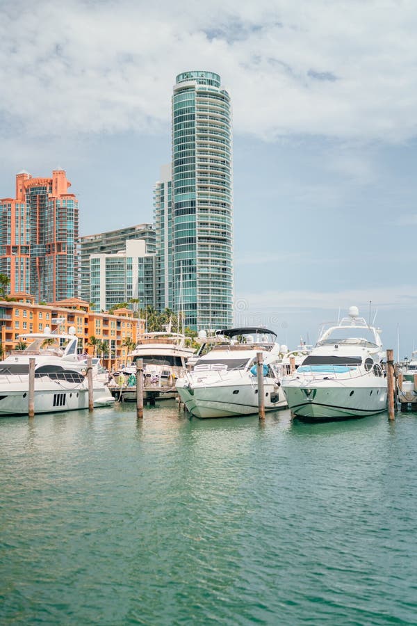 Vertical Shot of Yachts at Miami Beach Harbor and Buildings in the ...