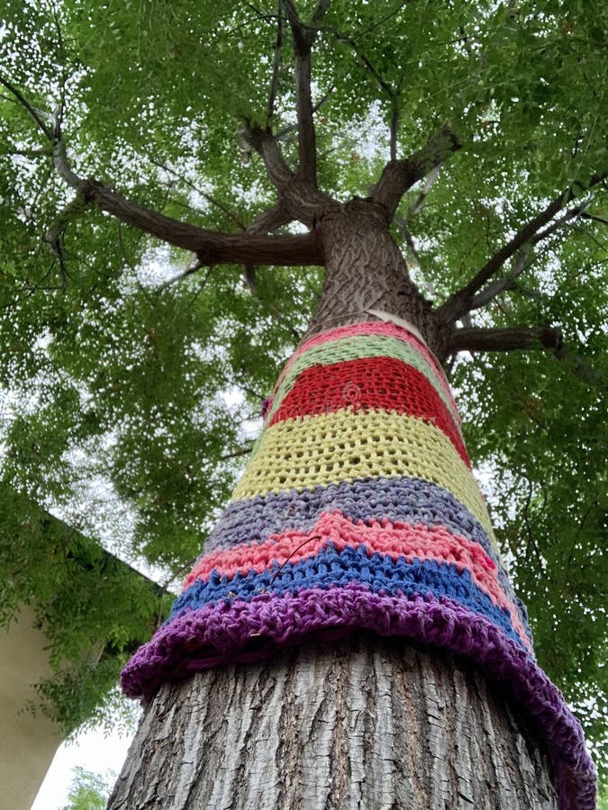 Vertical Shot of Yarn Bombing on a High Tree with Green Leaves in the ...