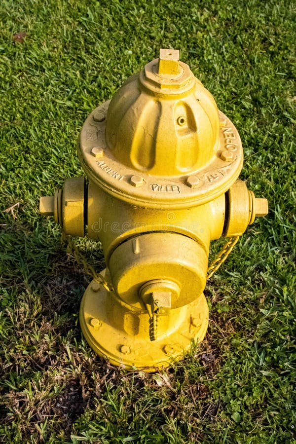 Vertical Shot of a Yellow Fire Hydrant Surrounded by Grass-covered ...