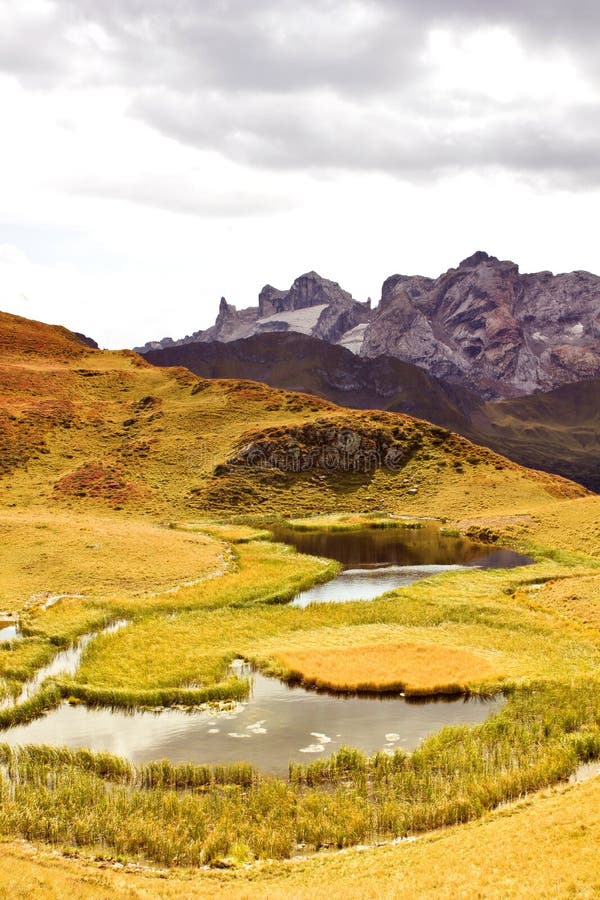 Vertical Shot of a Yellow Valley in Front of the Dark Rocks and the ...