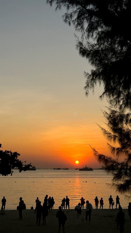 Vertical Silhouette of Tree, Boat, Group People on Beach with Sun and ...