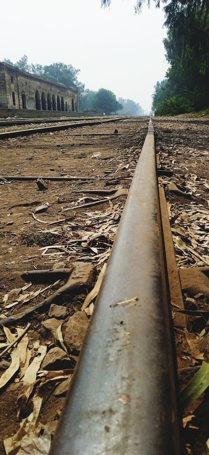 Vertical Single Rail Line Around Trees and Bushes Stock Image - Image ...