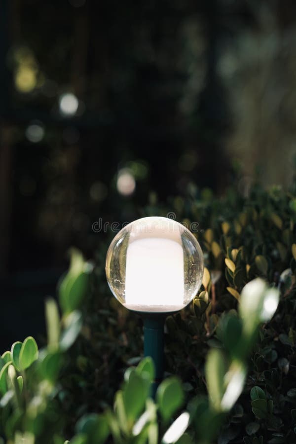 Vertical of a Small Garden Light in the Leaves. Stock Image - Image of ...