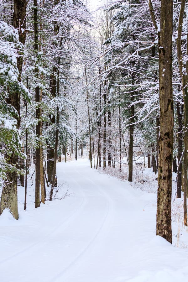 Vertical Snowy Drive Way stock photo. Image of road, scenic - 86040112