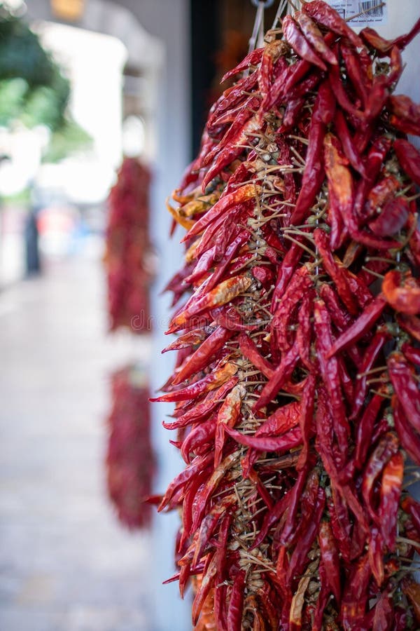 Vertical Sot of Dried Chili Peppers Stock Image - Image of dried ...