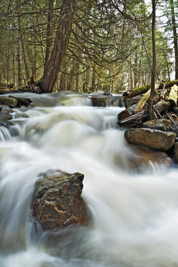 Vertical spring stock image. Image of scenery, quebec - 13767123