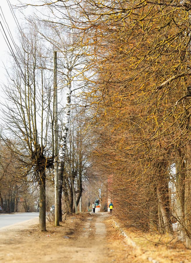 Vertical Spring in City Background Hd Stock Photo - Image of rich, town ...