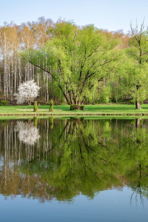 Spring landscape stock image. Image of nature, clean - 69615529