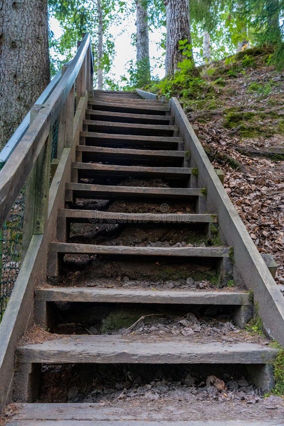 Vertical of the Stairs through the Forest. Stock Image - Image of hike ...