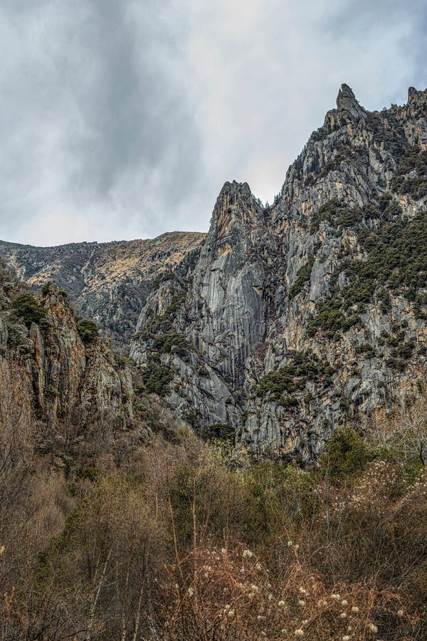 Vertical of a Steep Rocky Peak with Dried Trees in Tibet Stock Image ...