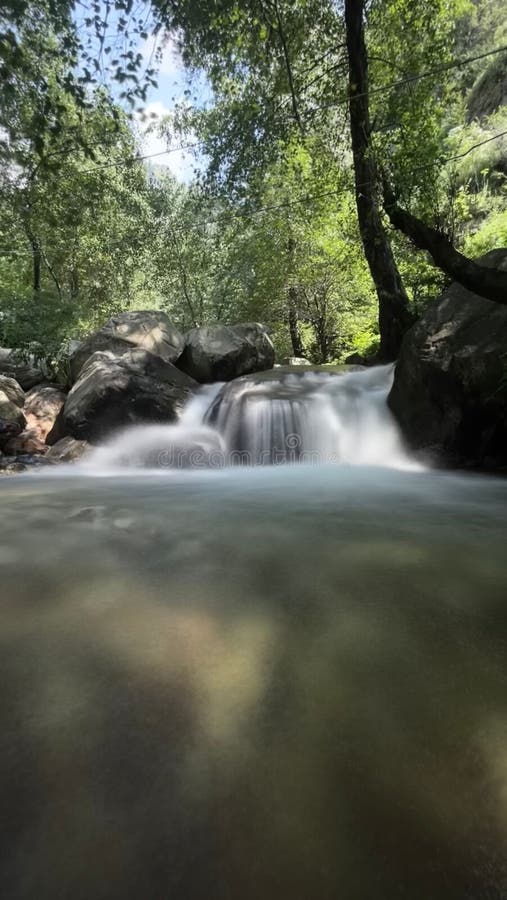 Vertical of a Stream Flowing Down the Rocks Surrounded by Trees Stock ...