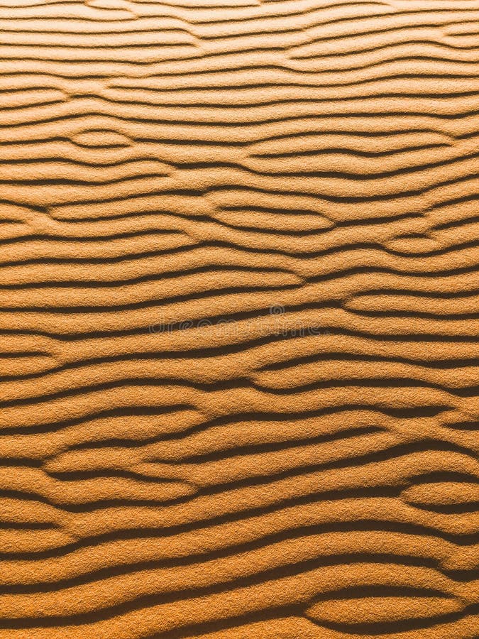 Vertical Texture of Sand Dune. Abstract Shape, Background. Sahara ...