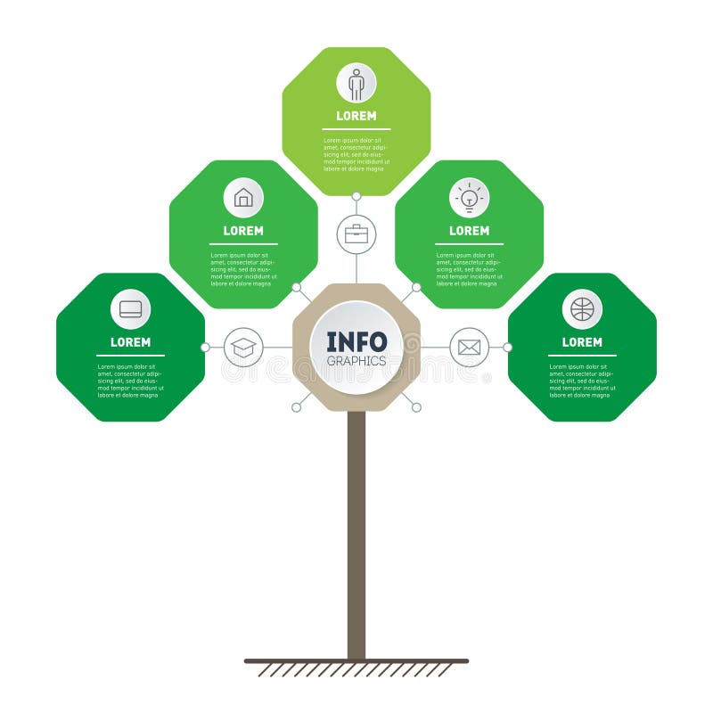 Vertical Timeline or Infographics. the Development and Growth of the ...