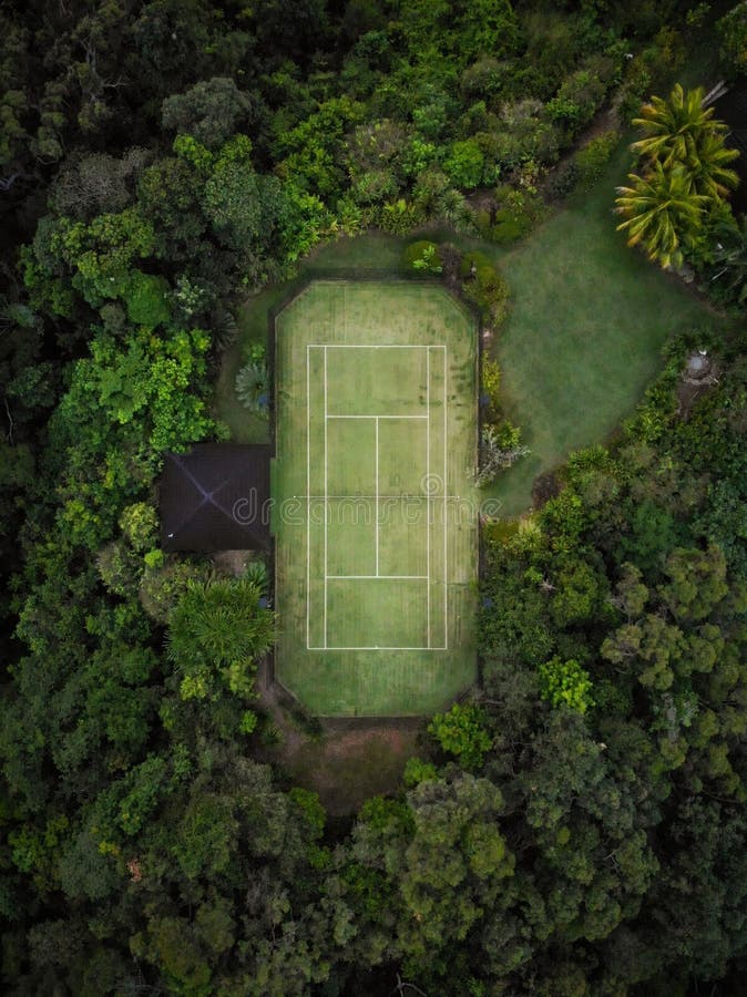 Vertical Top Shot of a Stadium Surrounded by Trees and Greenery Stock ...