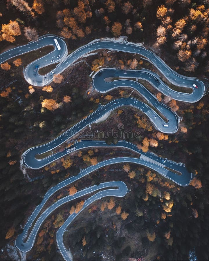 Vertical Top Shot of a Tortuous Highway Surrounded by Dense Vegetation ...
