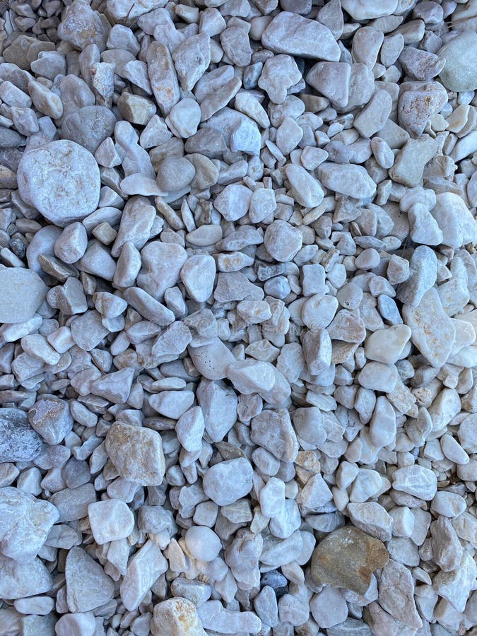 Vertical Top View of Beautiful White Pebbles of Different Shapes and ...