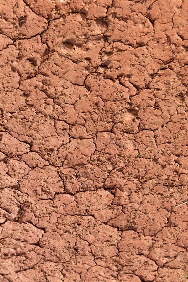 Vertical Top View of Cracked Dirt Texture Stock Photo - Image of ...
