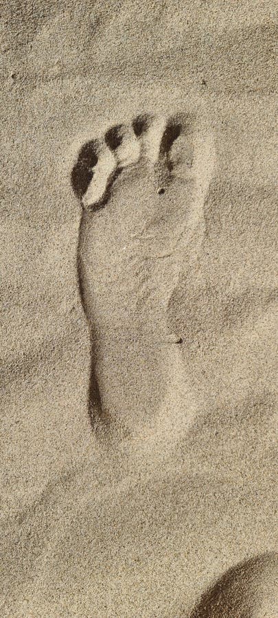 Vertical Top View of a Footprint on a Sandy Ground Stock Photo - Image ...