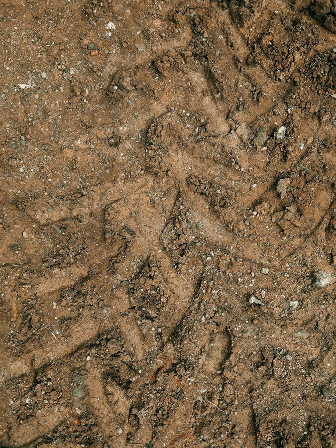 Vertical Top View of Sandy Ground with Pebbles Stock Photo - Image of ...