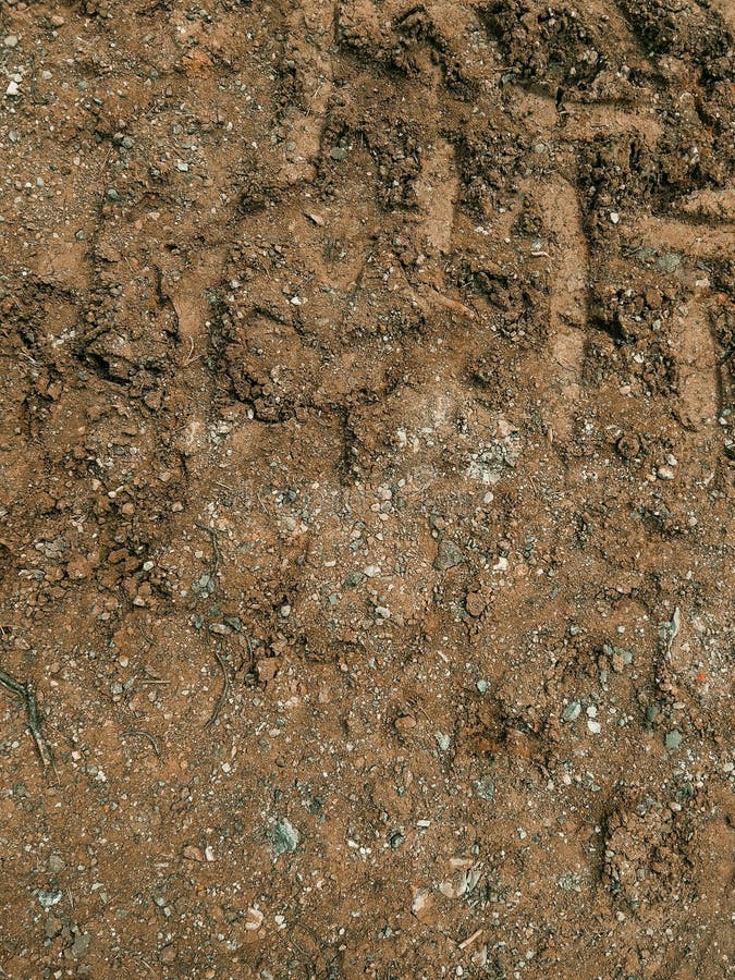 Vertical Top View of Sandy Ground with Pebbles Stock Photo - Image of ...