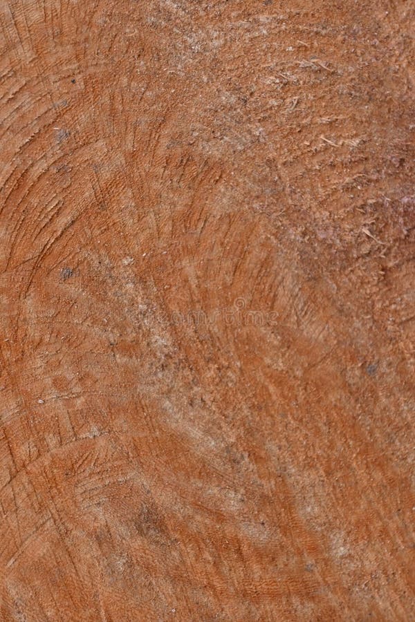 Vertical Top View of Sandy Ground with Pebbles Stock Photo - Image of ...