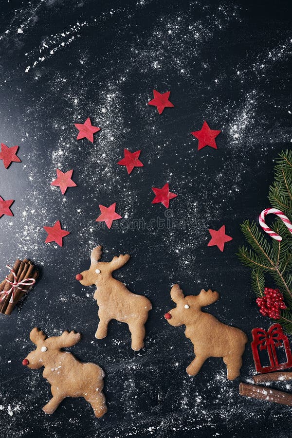 Top View of Santa Reindeer Made of Gingerbread Cookie Stock Photo ...