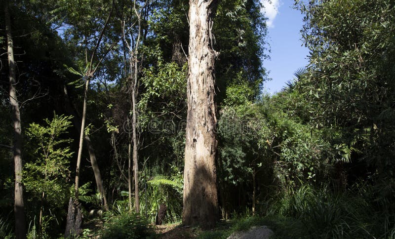 Matt Leane (Mleane) - Photos