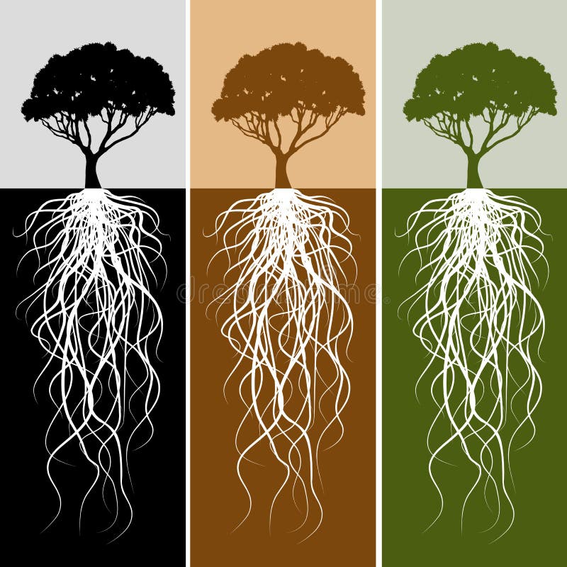 Vertical Tree Root Banner Set Stock Vector - Illustration of trees ...