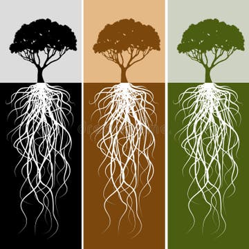 Vertical Tree Root Banner Set Stock Vector - Illustration of trees ...