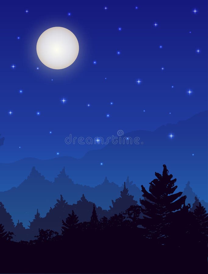 Vertical Vector Night Landscape with Spruce Forest, Sky with Stars and ...