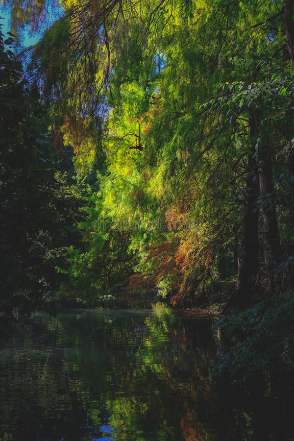 Vertical Vibrant Shot of a Beautiful River and Trees Stock Image ...