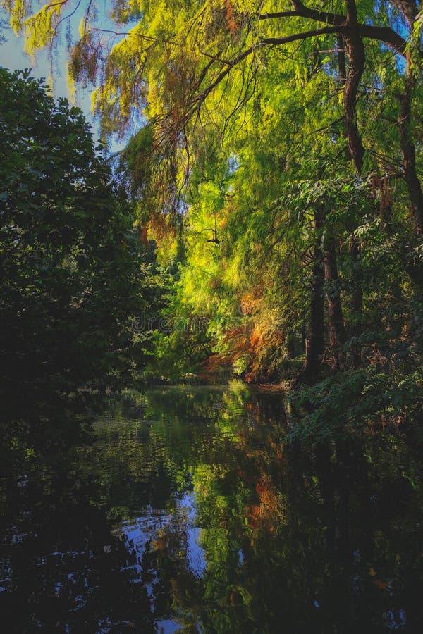 Vertical Vibrant Shot of a Beautiful River and Trees Stock Image ...