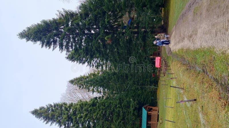 Vertical Video. Overview of the Path for a Walk through the Mountain ...