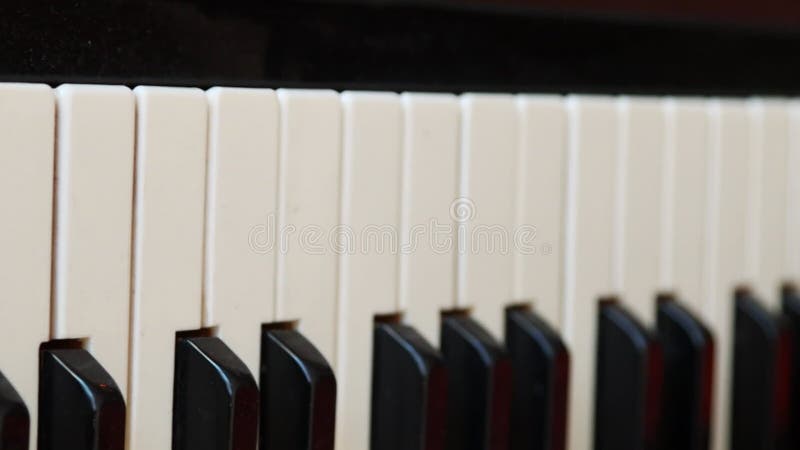 Vertical Video, Smooth Camera Movement, Selective Focus, Close-up of ...