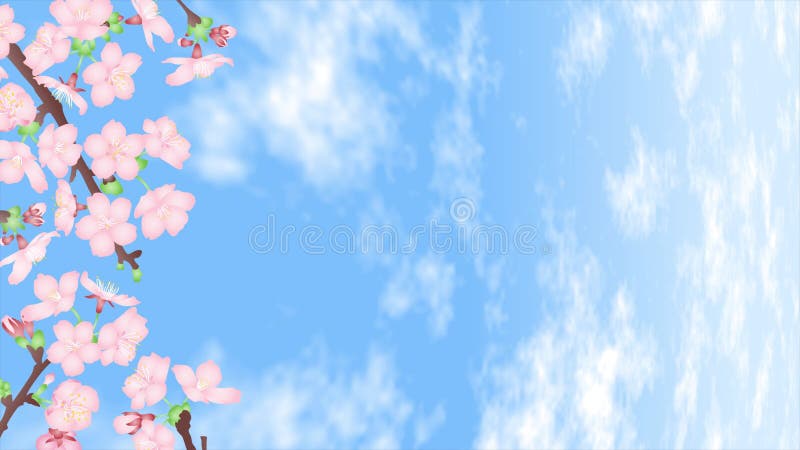 A Vertical Video of the Spring Sky with Cherry Blossoms Swaying in the ...