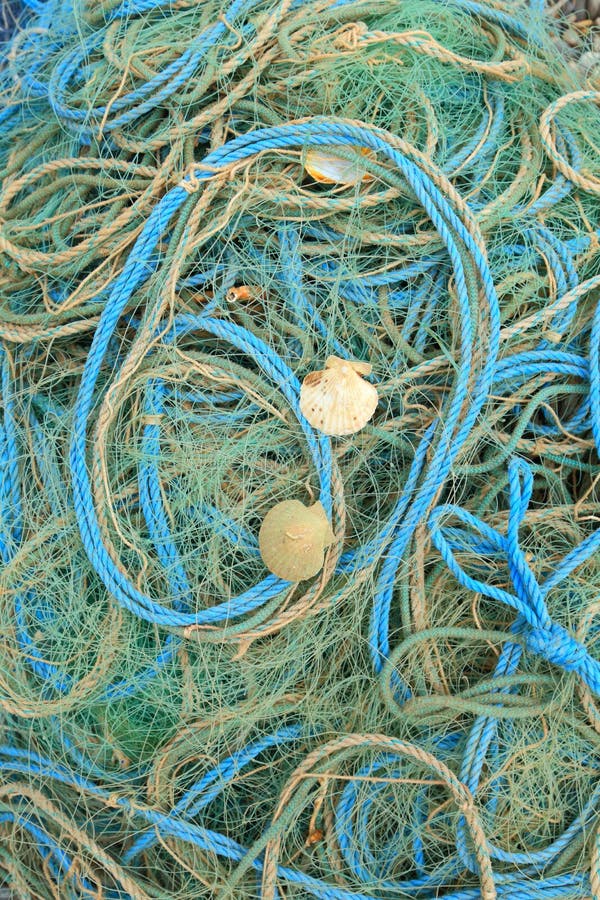 Vertical View of Blue and Beige Threads and Sea Shells Twisted and Tied ...