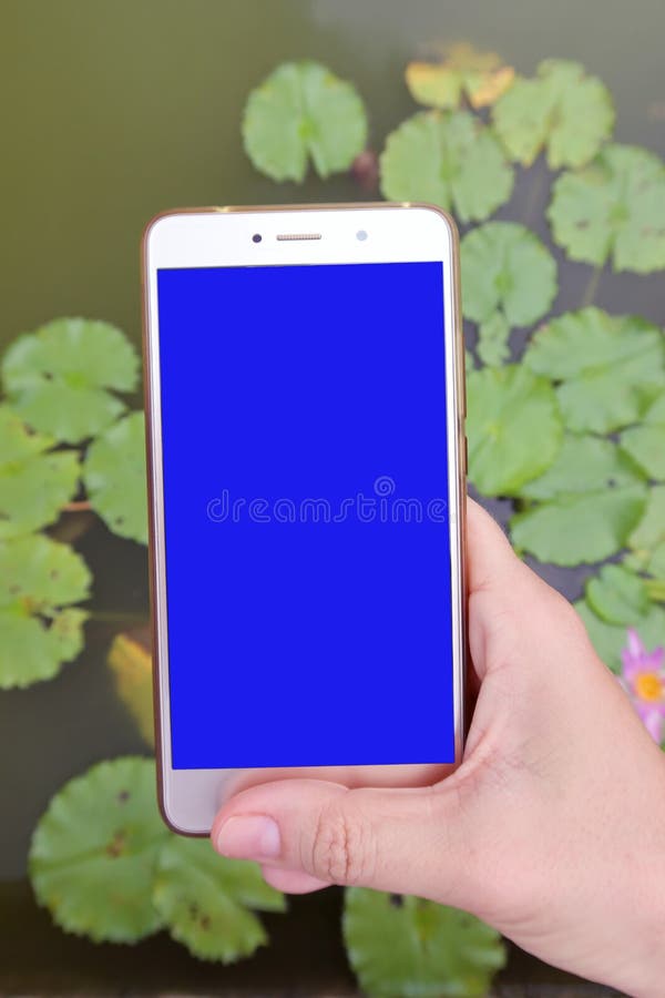 Screen of a Smartphone of Blue Color. Stock Photo - Image of interface ...