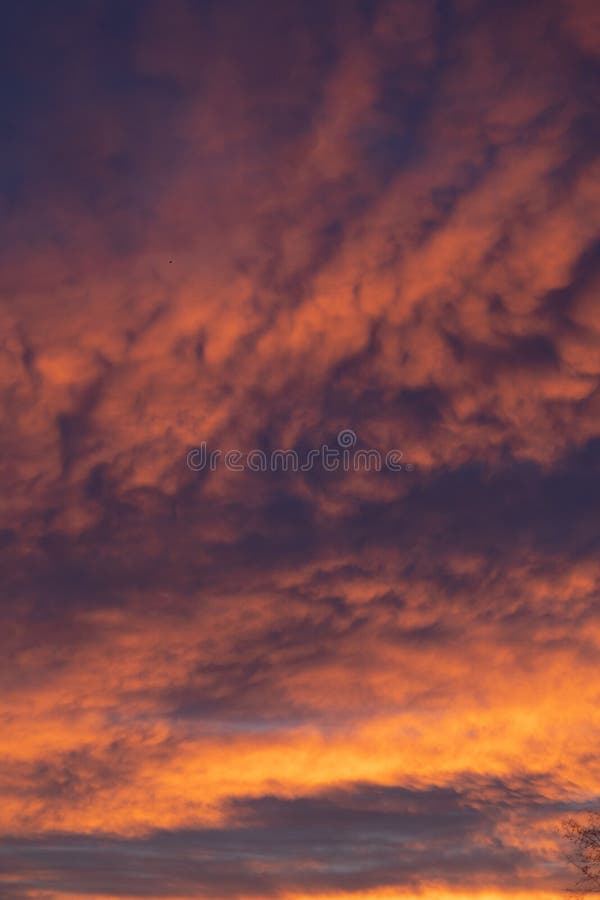 Vertical View of a Dramatic Sunset Sky with Colorful Clouds Stock Image ...
