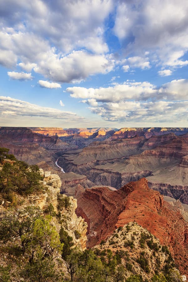 Vertical View of Grand Canyon Stock Image - Image of shadow, life: 64666601