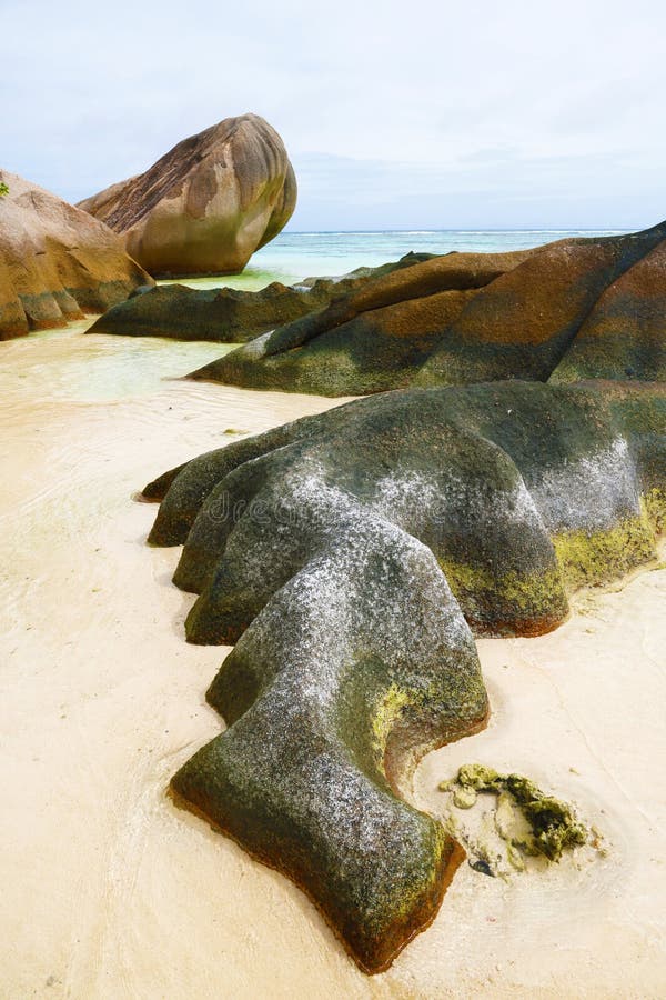 Vertical View of a Granite Rock of Anse Source D Argent in La Digue ...