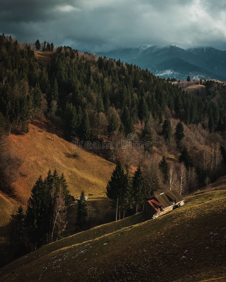 Vertical View of a House in the Valley with Trees Under the Cloudy Sky ...