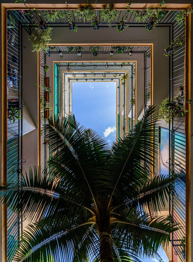 Vertical View of Interior Balcony with Blue Sky and Palm Tree Editorial ...