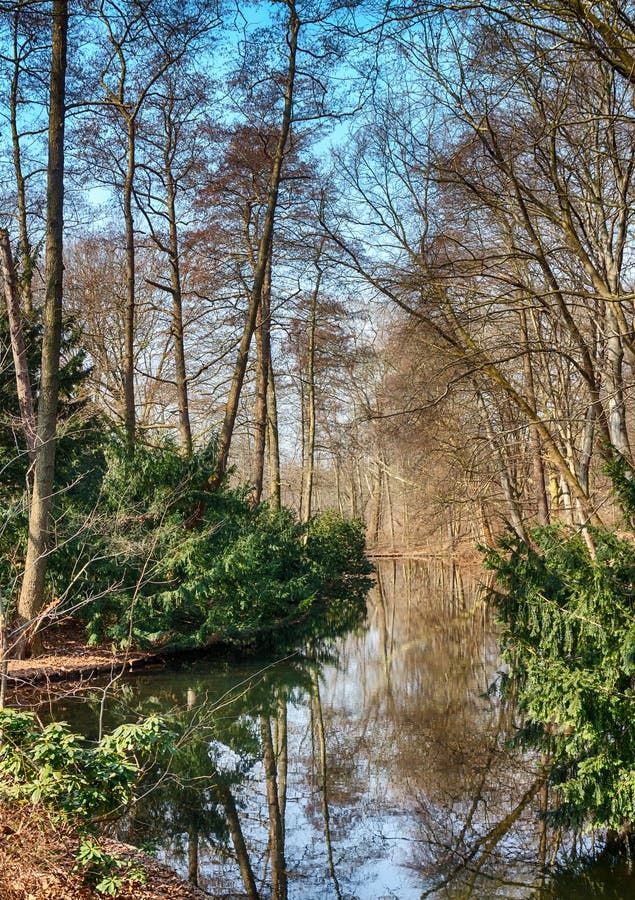 Vertical View of the Lake in Tiergarten Stock Photo - Image of trees ...