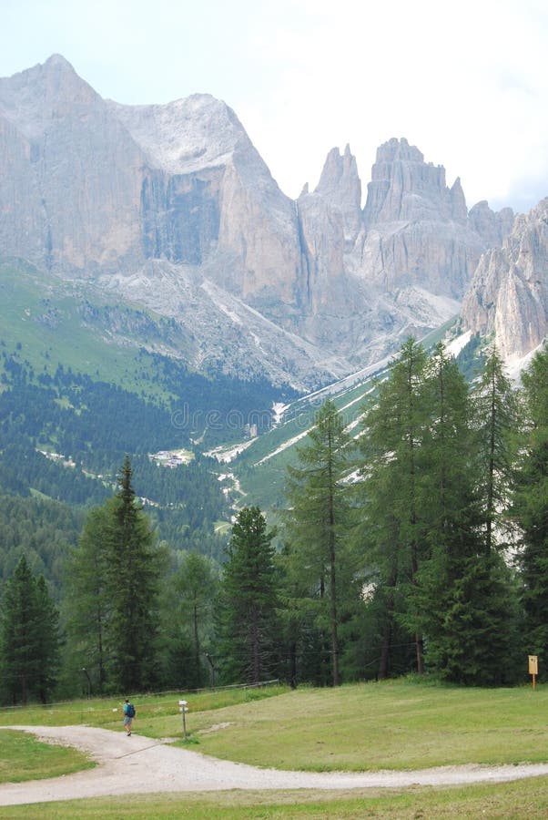 Vertical View of a Man Walking Along a Pathway on a Slope with Trees ...