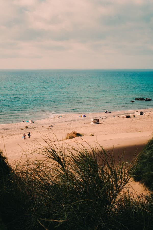 Vertical View of the Mesmerizing Sea and a Sandy Coastline with People ...
