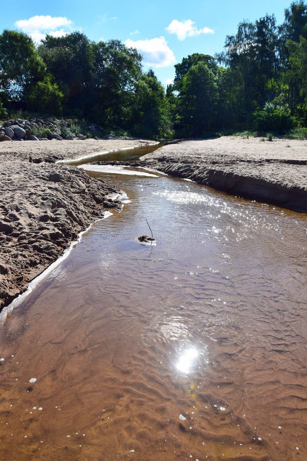Vertical View of a Muddy River and Trees. Stock Photo - Image of ...