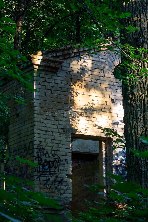 Vertical View of an Old Abandoned Building in the Forest Stock Image ...