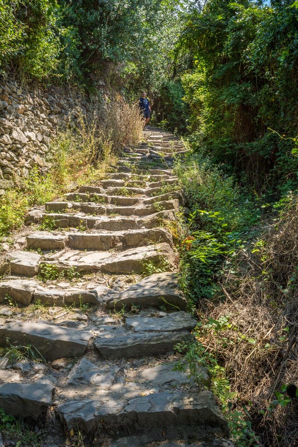Vertical View of the Path between Corniglia and Vernazza at Summer ...