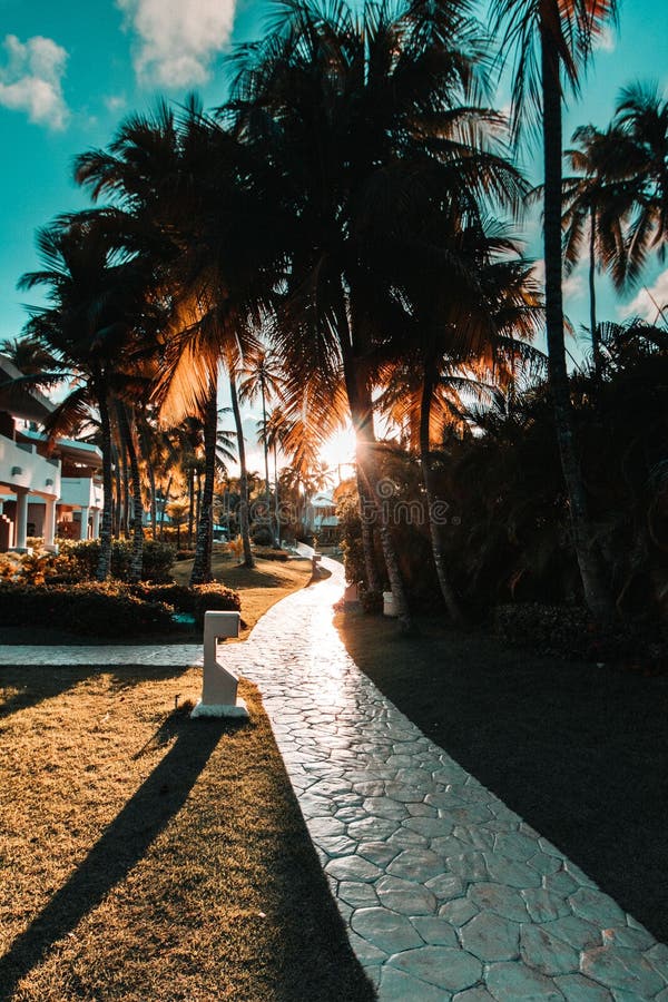 3,997 Pathway To Beach Stock Photos - Free & Royalty-Free Stock Photos ...