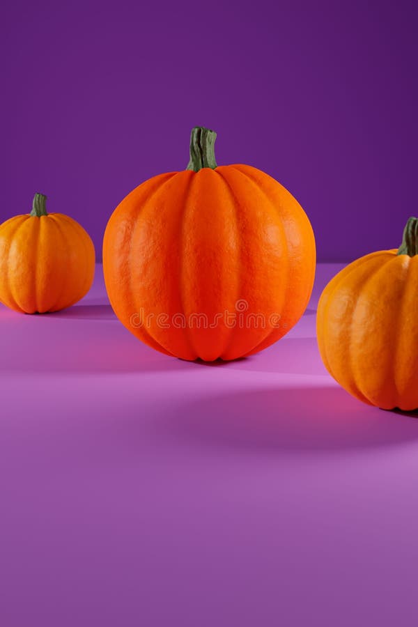 Vertical View of Pumpkins Isolated in Purple Background Stock Photo ...